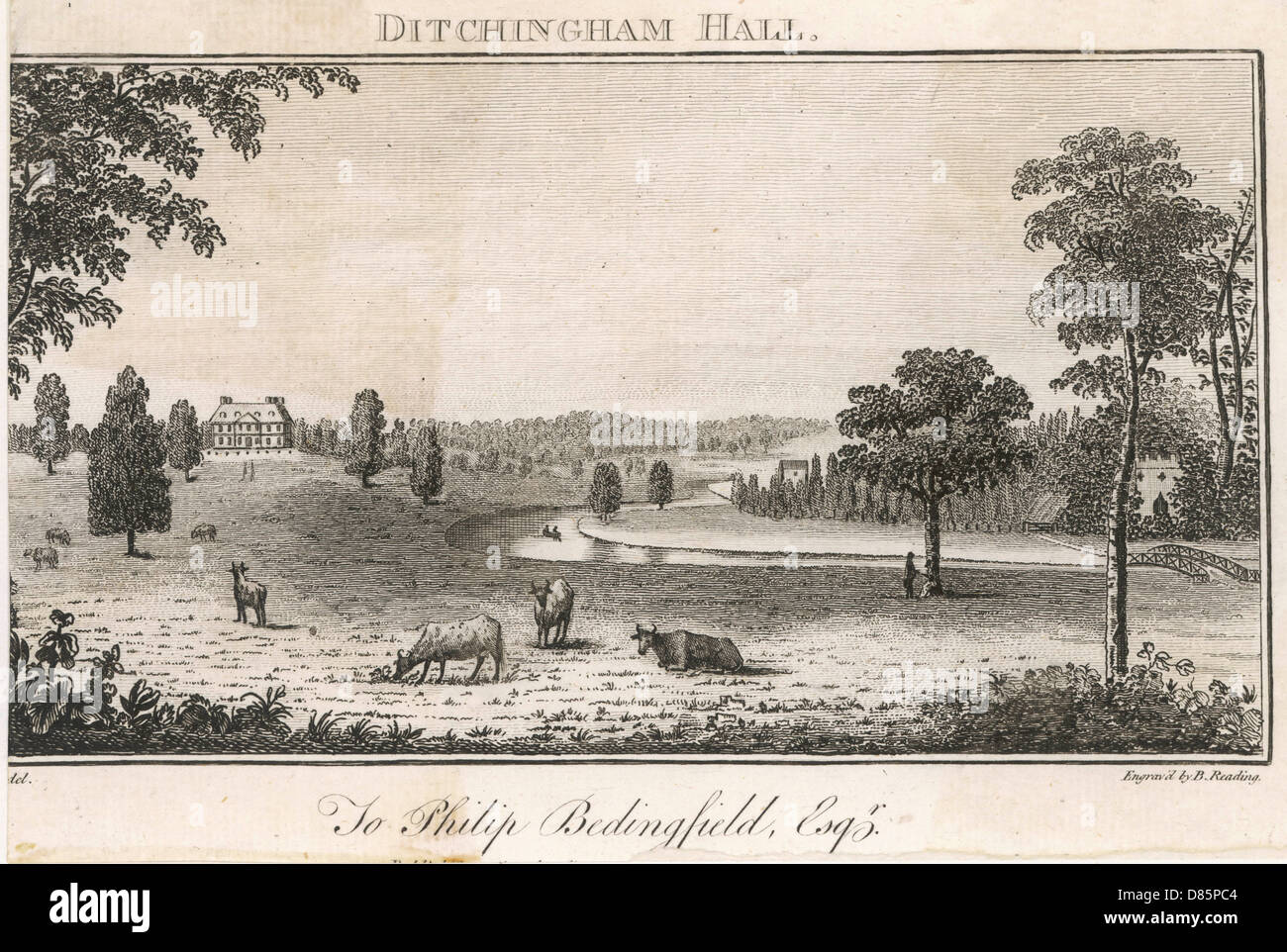 Ditchingham High Resolution Stock Photography and Images - Alamy