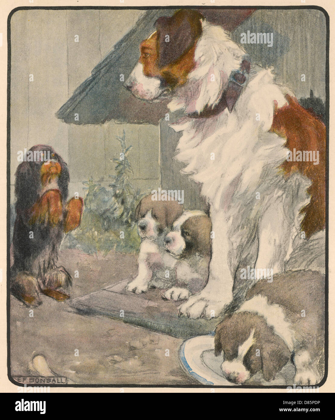 Very respectful dog hi-res stock photography and images - Alamy