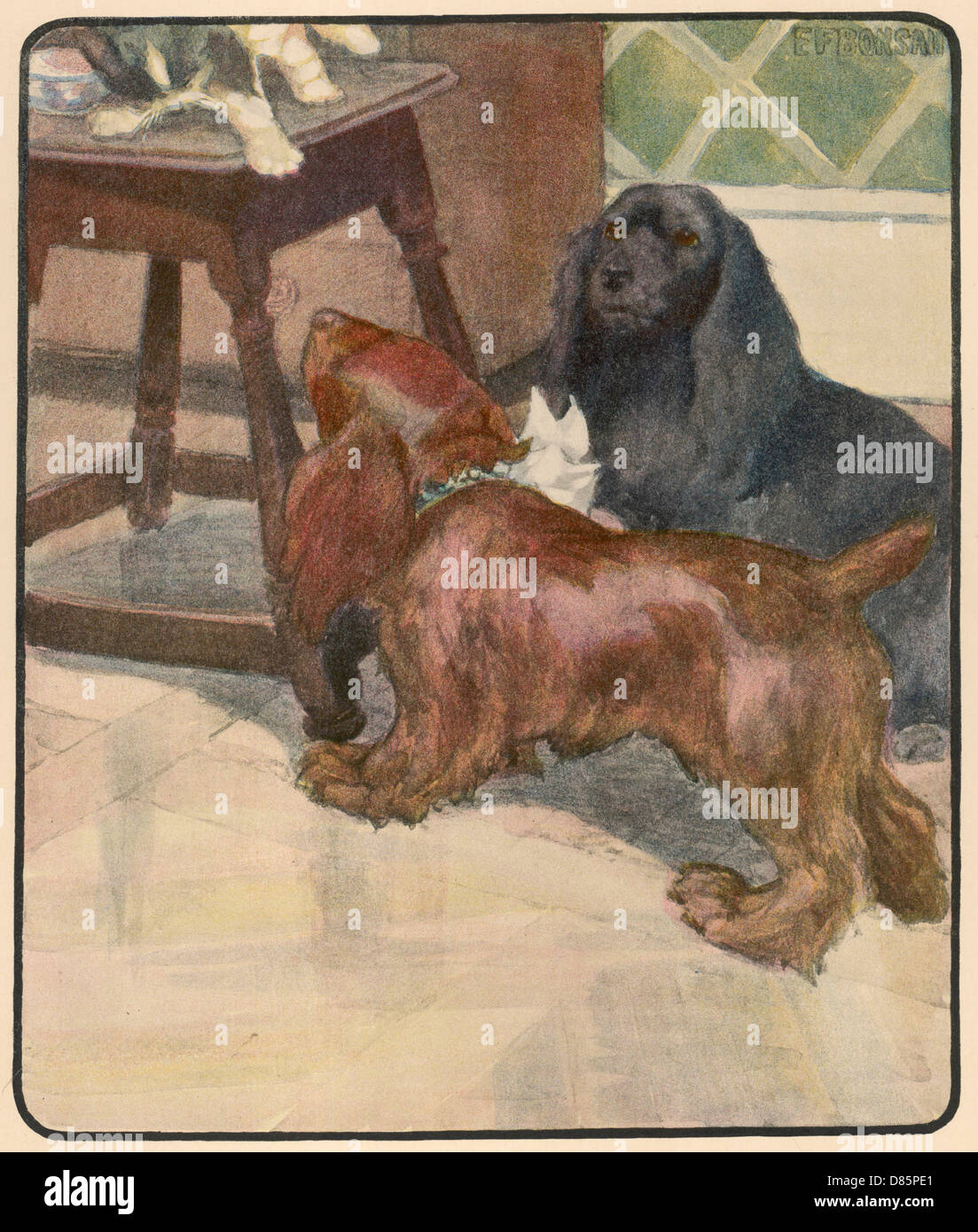 Two dogs and two cats hi-res stock photography and images - Alamy