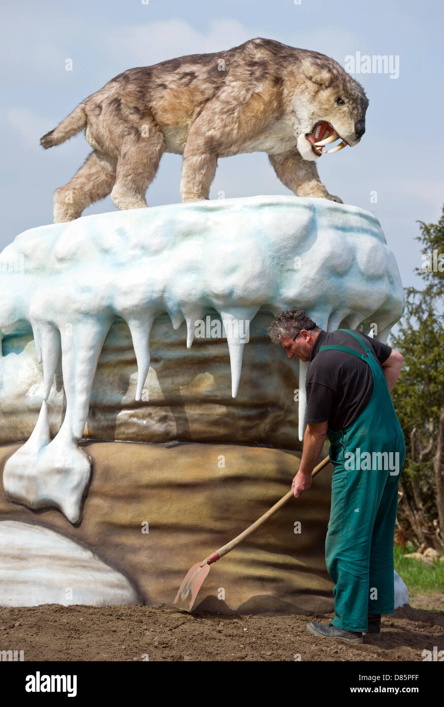 Frozen Saber Tooth Tiger Found