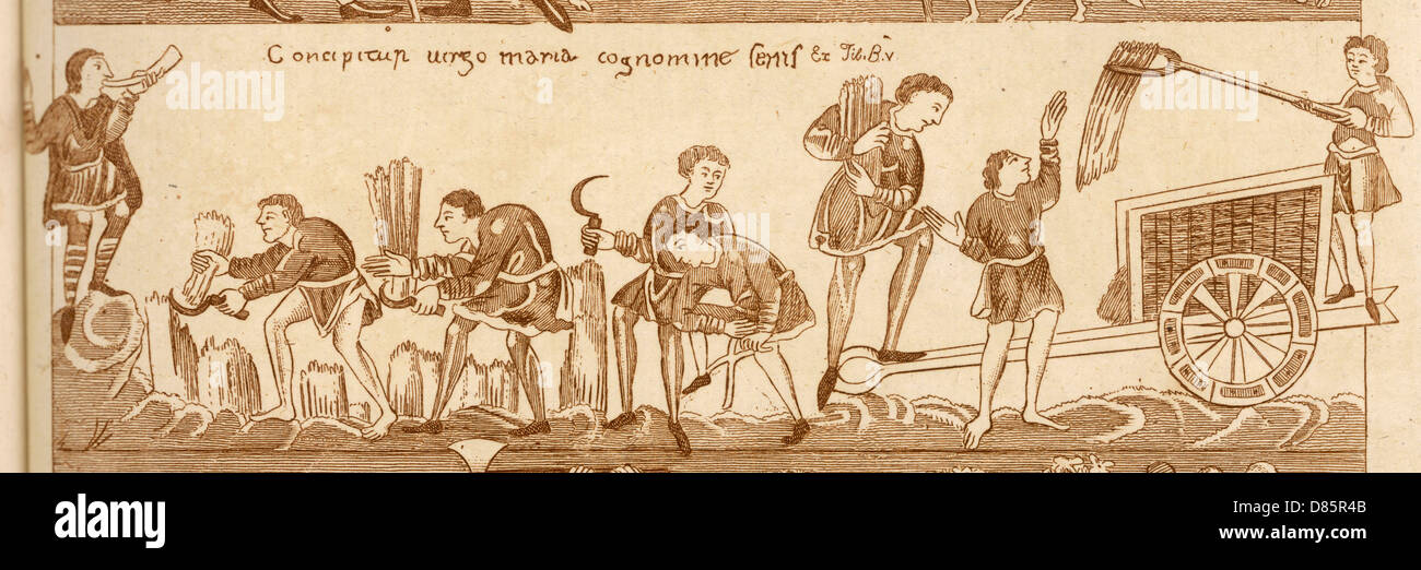 Medieval agriculture hi-res stock photography and images - Alamy