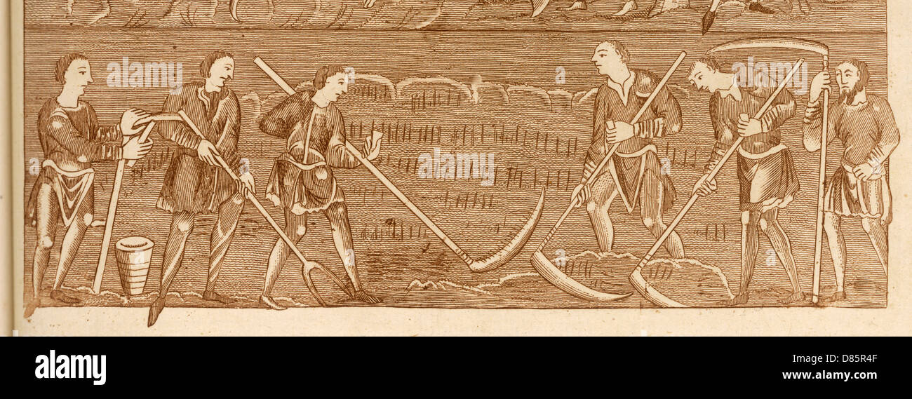 Medieval farmer hi-res stock photography and images - Alamy