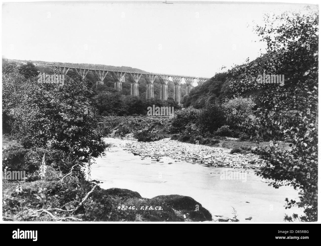 Horrabridge railway viaduct, Grenofen, Devon Stock Photo - Alamy