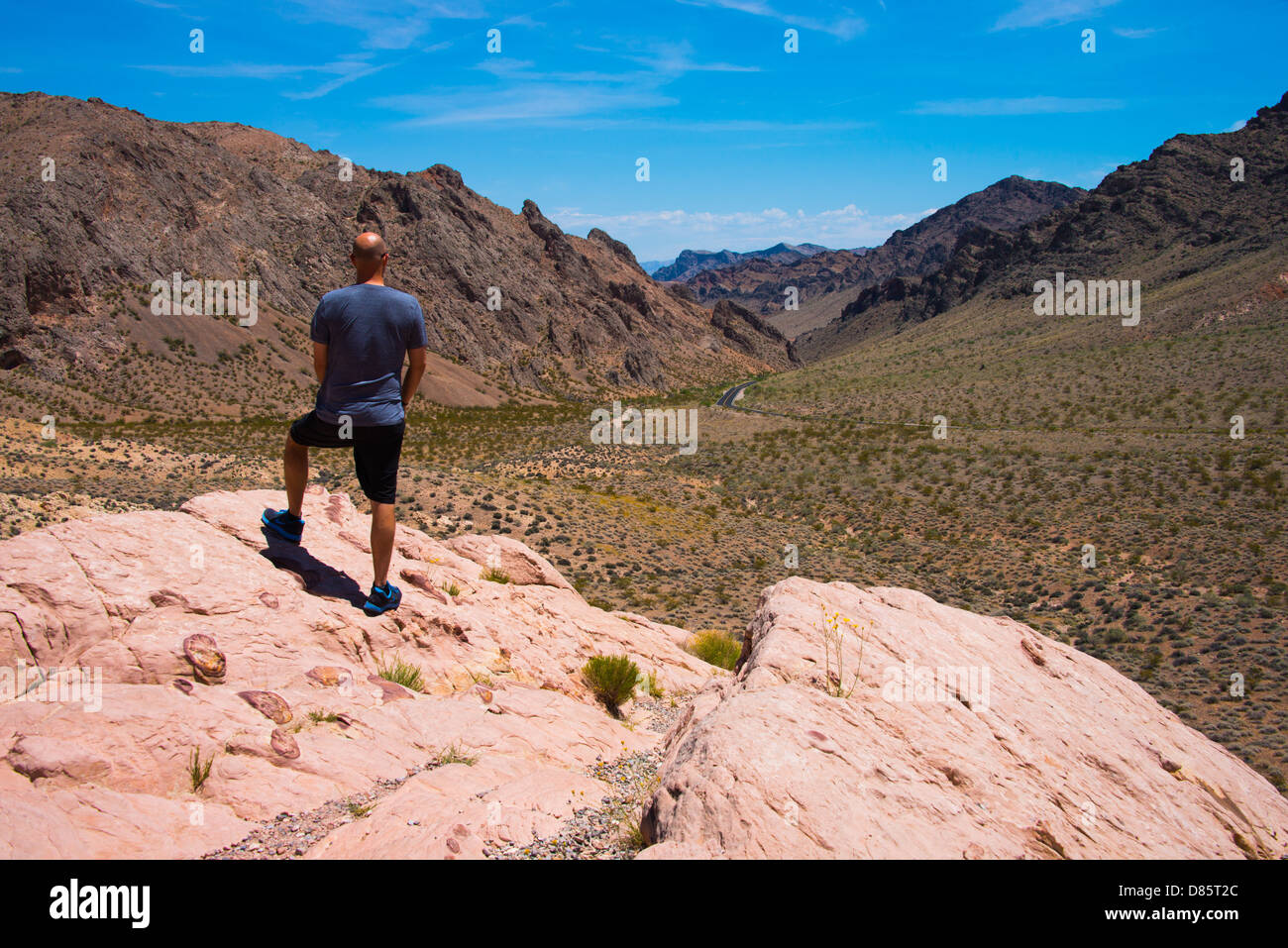 This is an image from Red Rock Canyon, California Stock Photo - Alamy