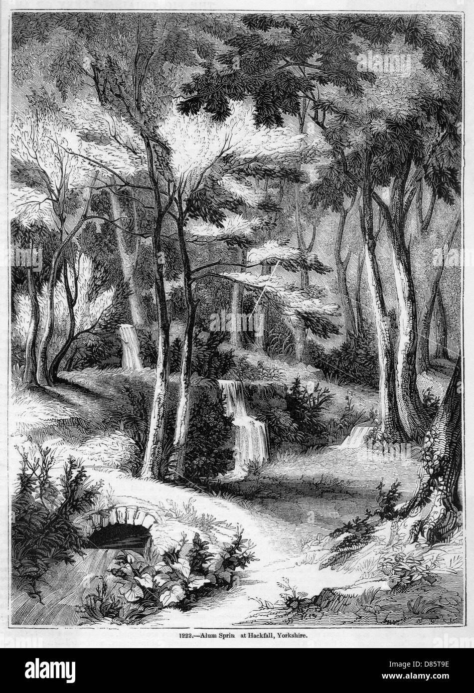 Alum spring hi-res stock photography and images - Alamy