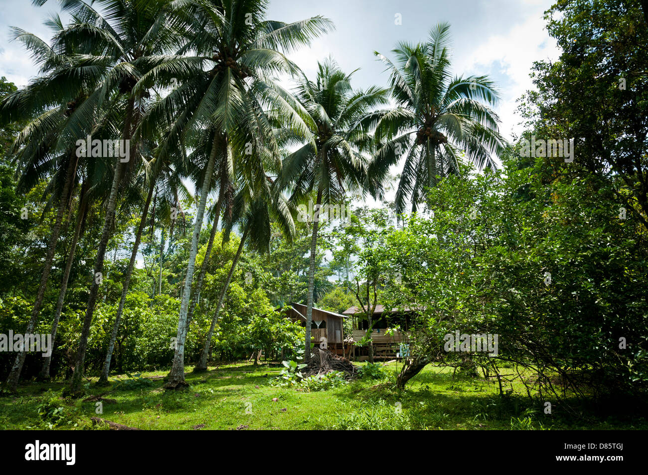Bribri costa rica hi-res stock photography and images - Alamy