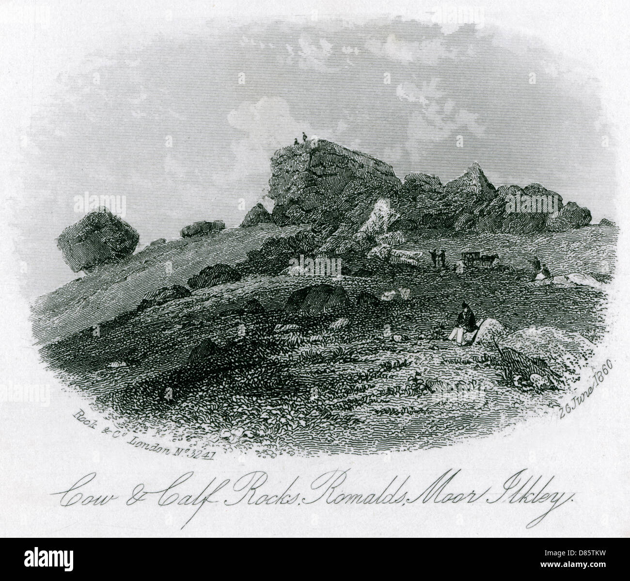 Ilkley moors cow and calf hi-res stock photography and images - Alamy