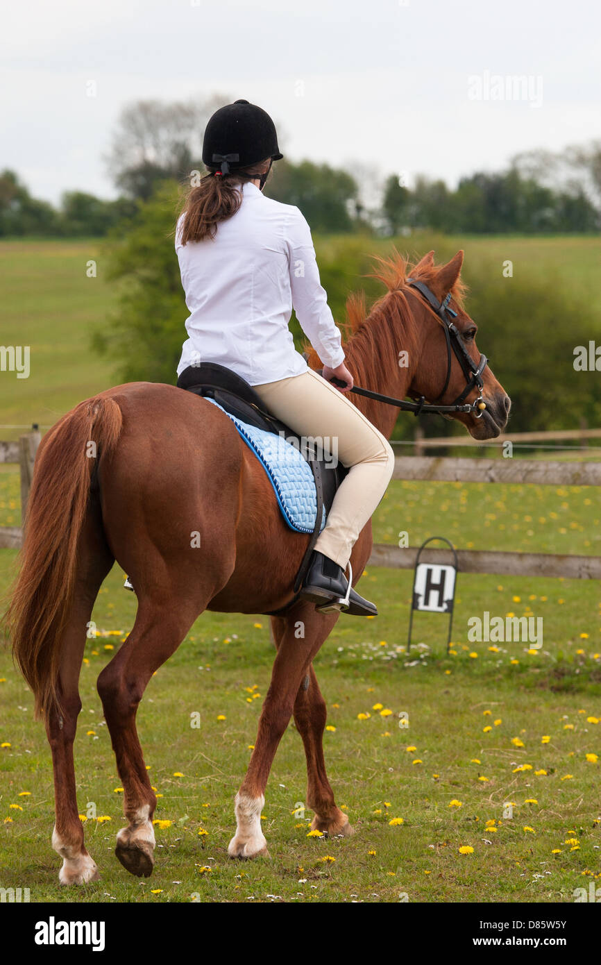Young girl having a horse riding lesson at Hesteyri Horses, Forest of ...
