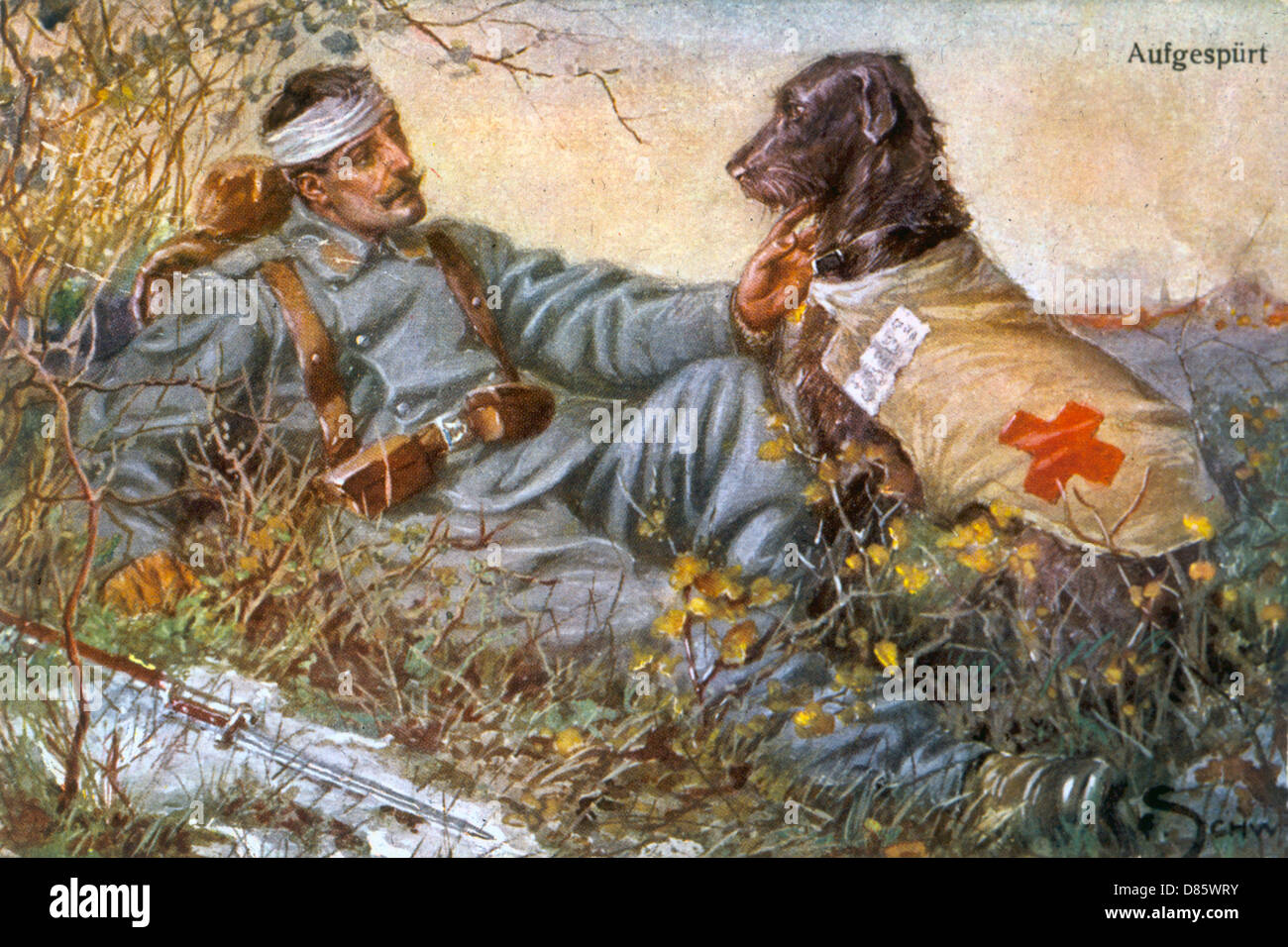 A red cross working dog during WWI Stock Photo - Alamy