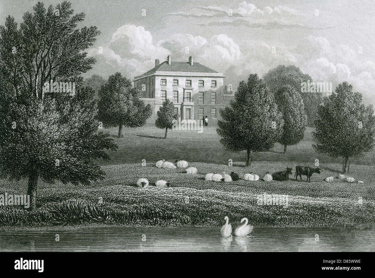 Maple Hayes, Staffordshire Stock Photo - Alamy