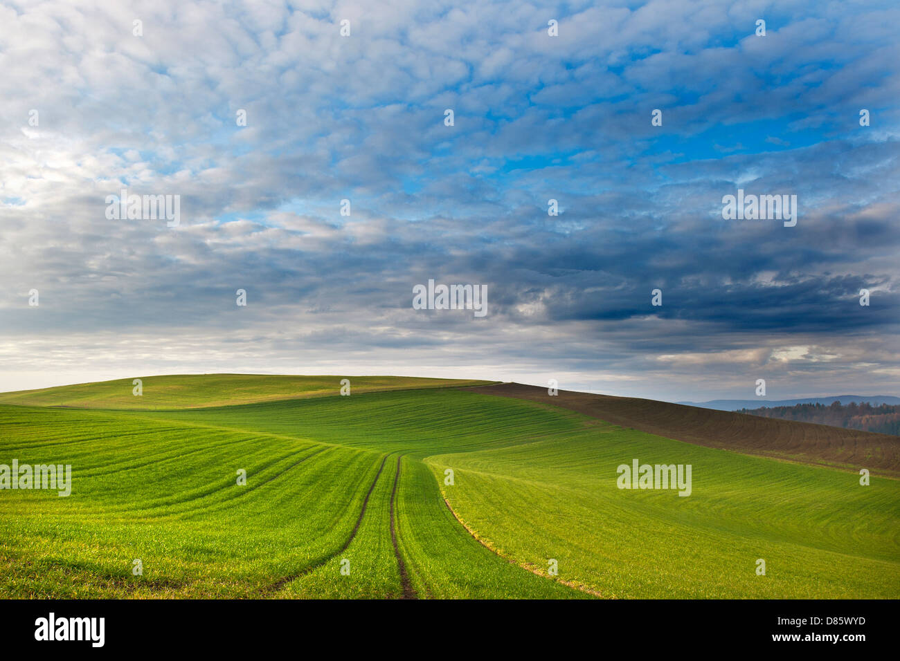 Switzerland Canton Basel Country surrounding of Arisdorf landscape ...