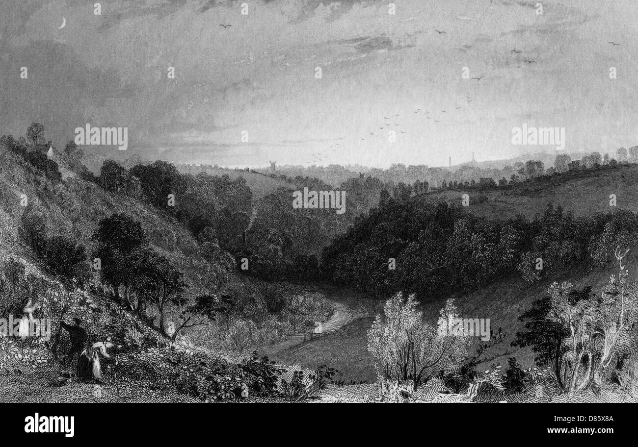 Newcastle upon tyne countryside hi-res stock photography and images - Alamy