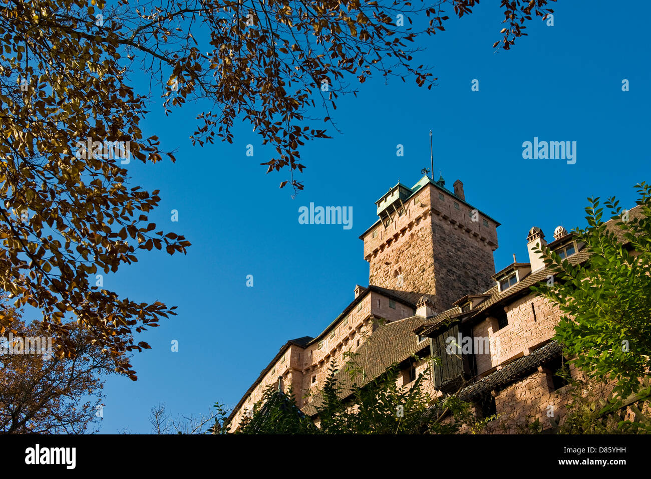 France Alsace Haut Koenigsbourg castle Stock Photo - Alamy
