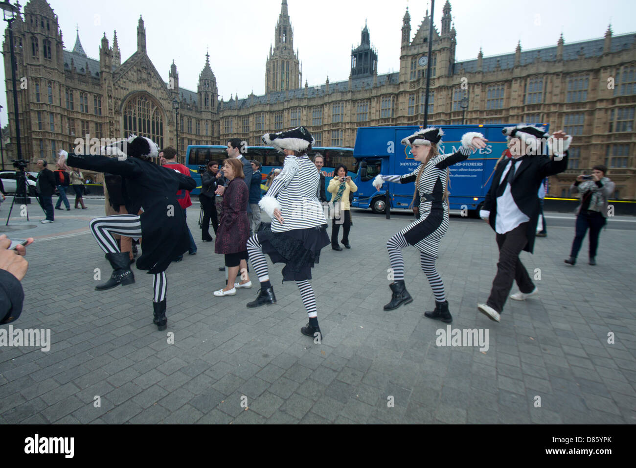 London UK. 20th May, 2013. Protesters wearing badger costumes protest ...