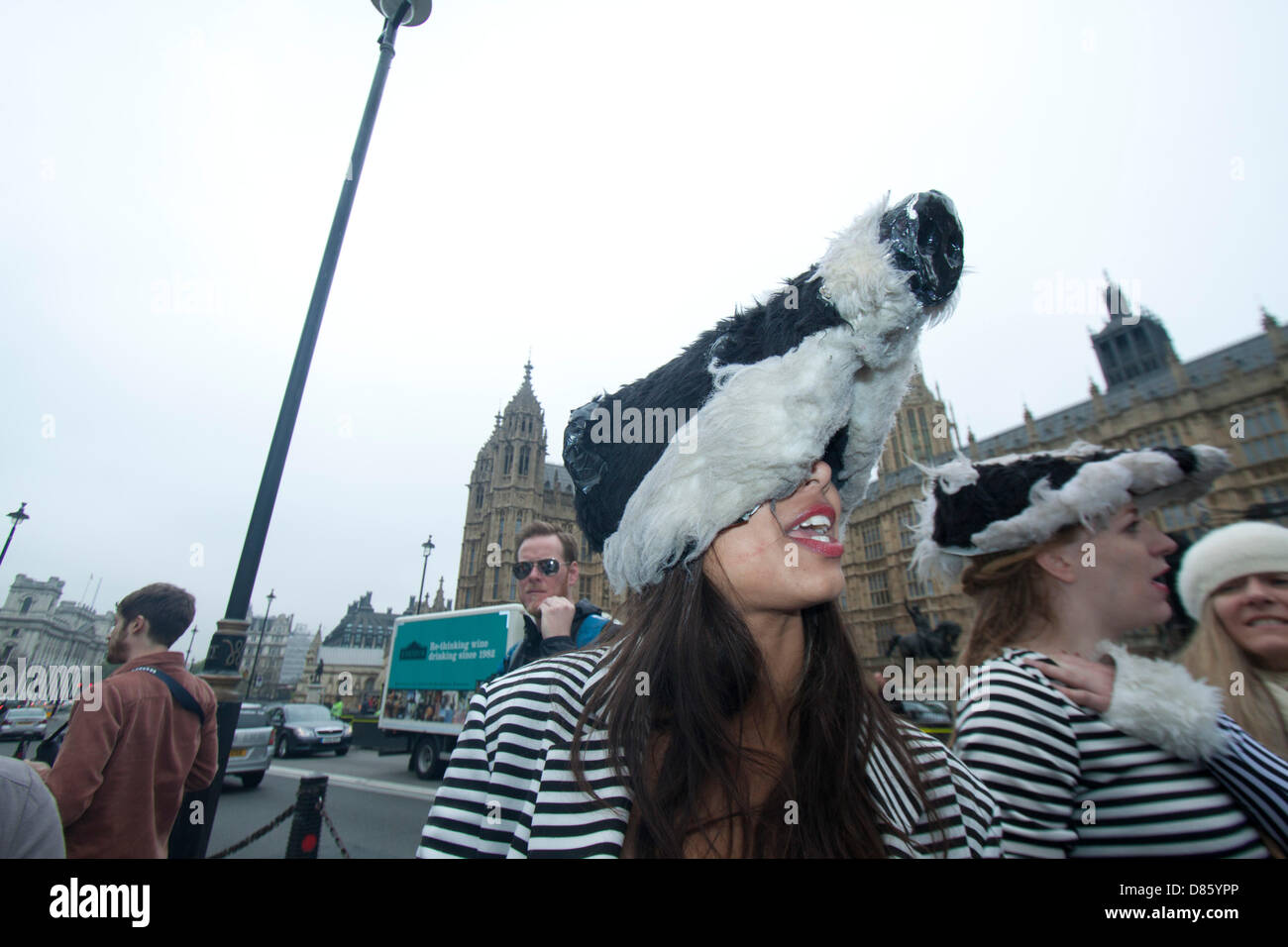 Reduce badger numbers hi-res stock photography and images - Alamy