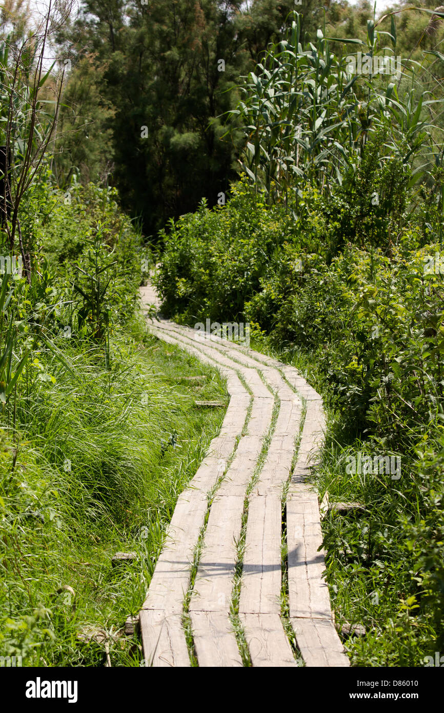 Old wooden bridges hi-res stock photography and images - Alamy