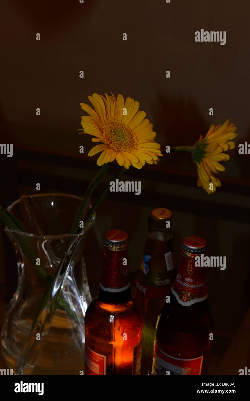 Yellow flower among beer bottles Stock Photo - Alamy
