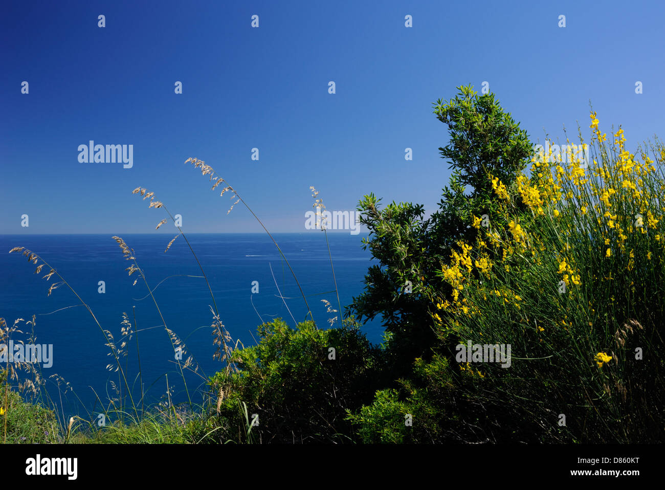 Italy, Tuscany, Argentario, southern coast Stock Photo - Alamy