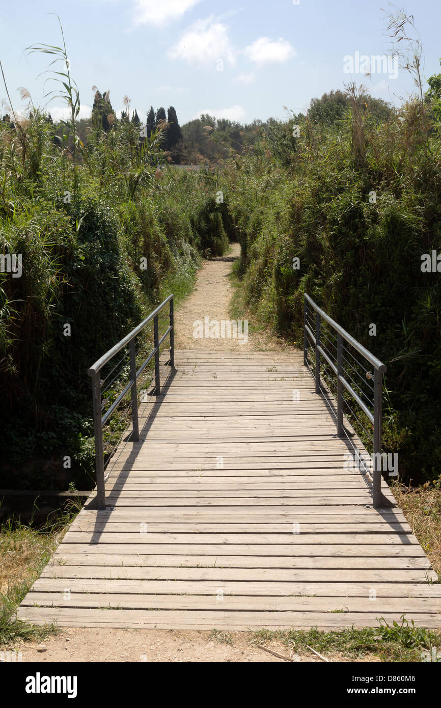 Landscape with wooden bridges Stock Photo - Alamy