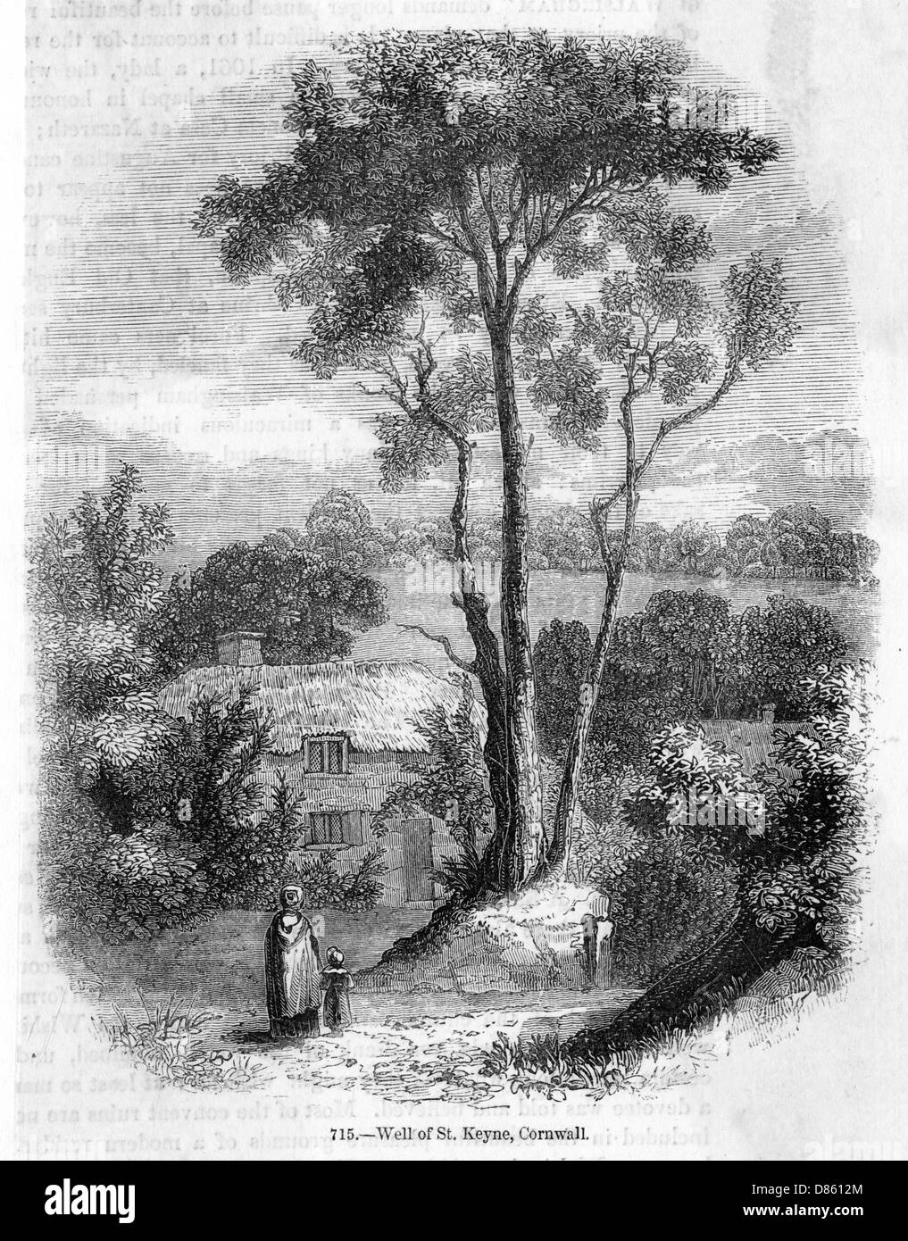 St keyne’s well hi-res stock photography and images - Alamy