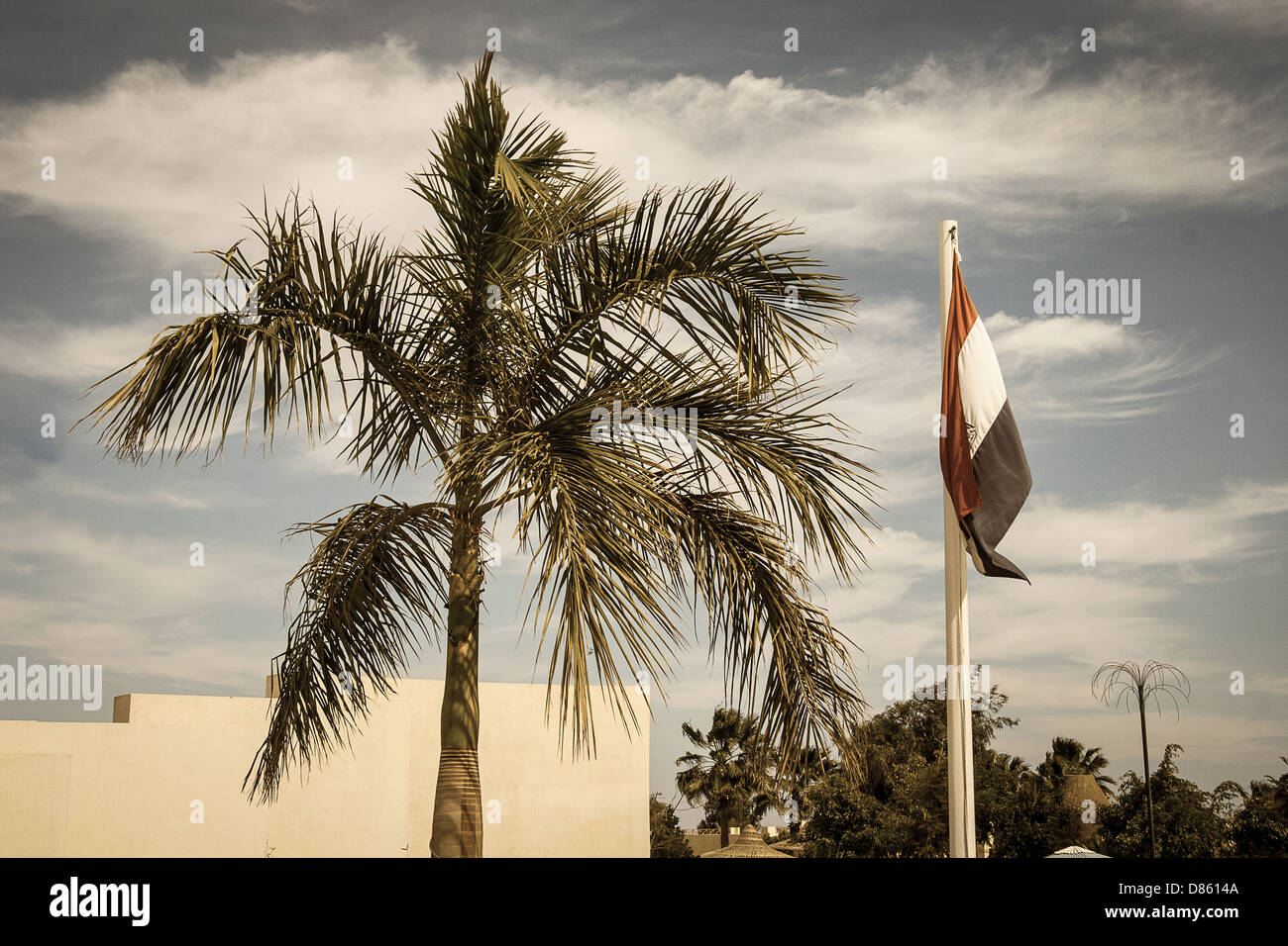Egyptian national flag hi-res stock photography and images - Alamy