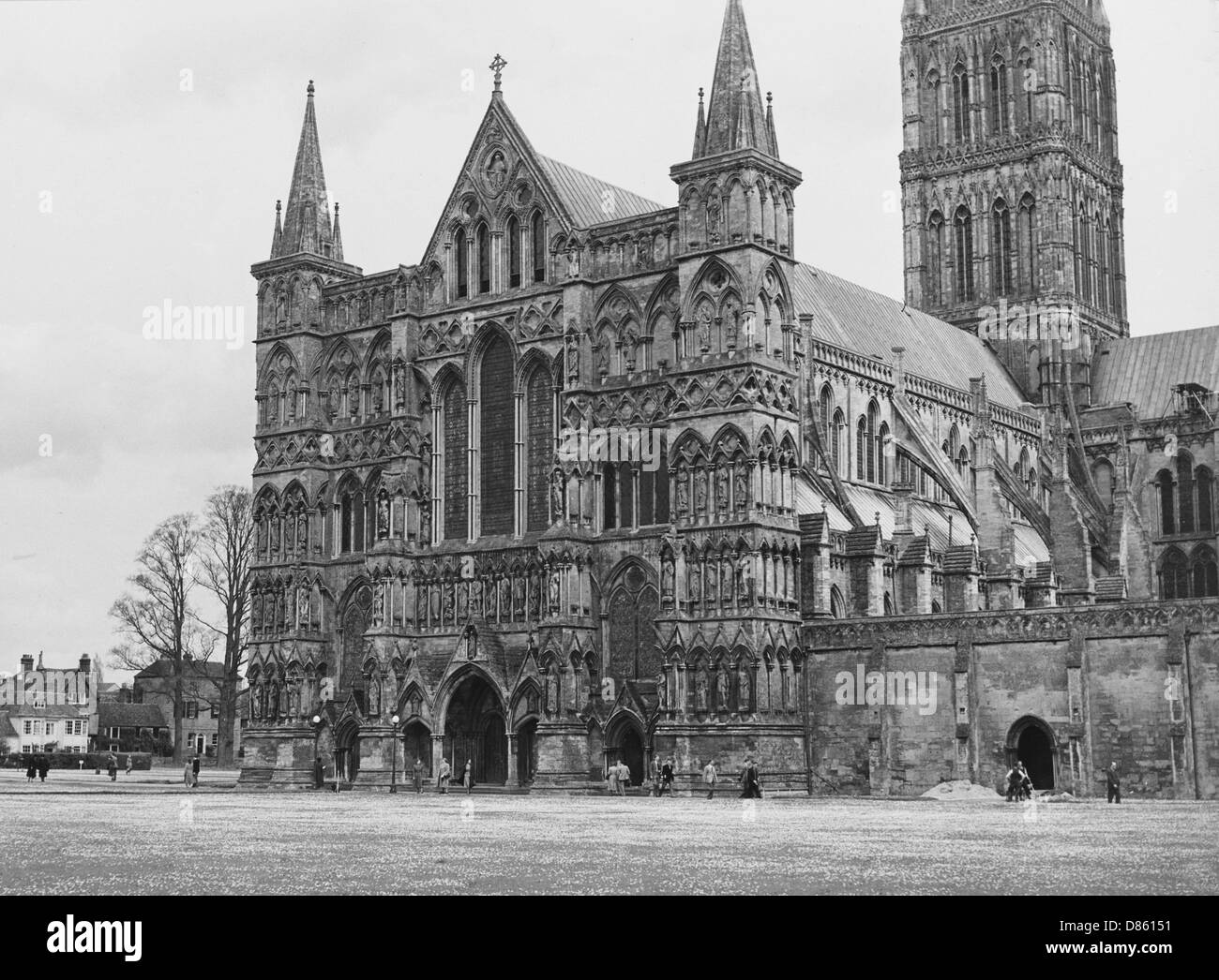 Salisbury Cathedral, Wiltshire Stock Photo - Alamy