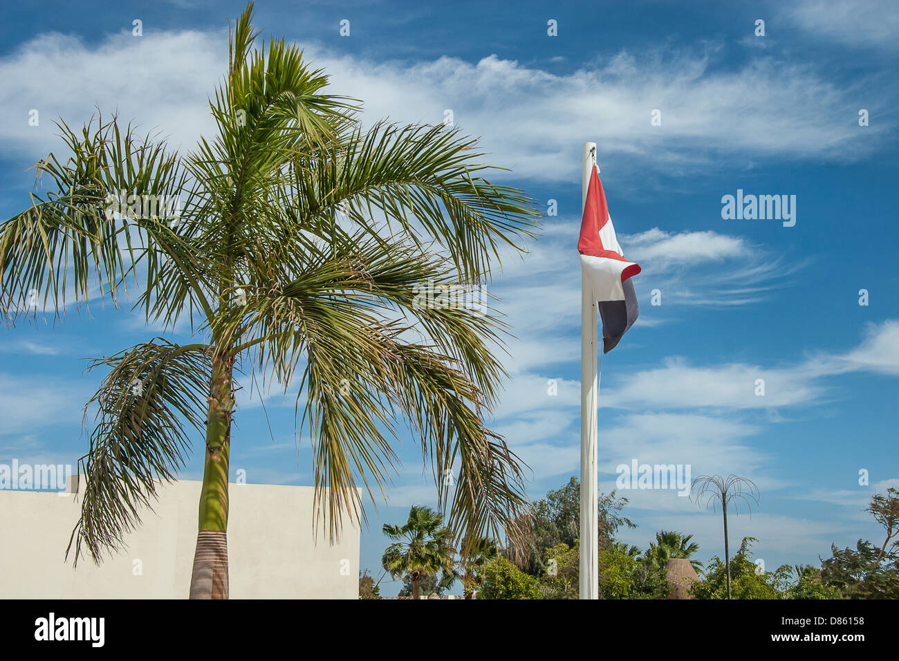 Egyptian flag on flagpole near palms Stock Photo - Alamy