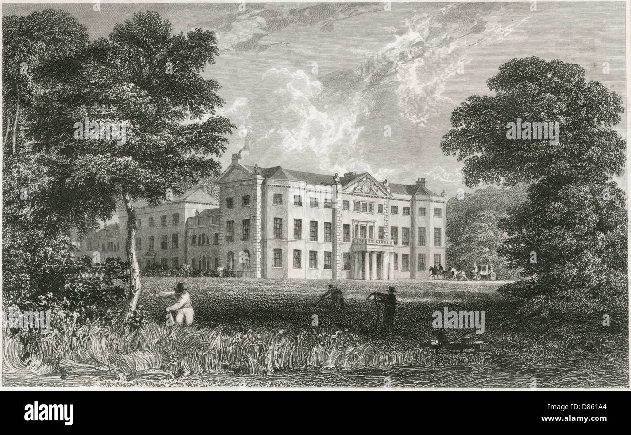 Saltram House, Devon Stock Photo - Alamy