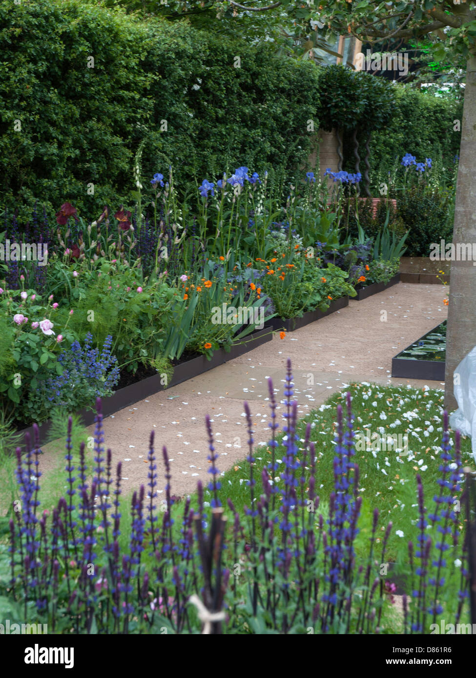 London, UK. 20th May 2013. The Chelsea Flower Show. Pictured: Thw ...