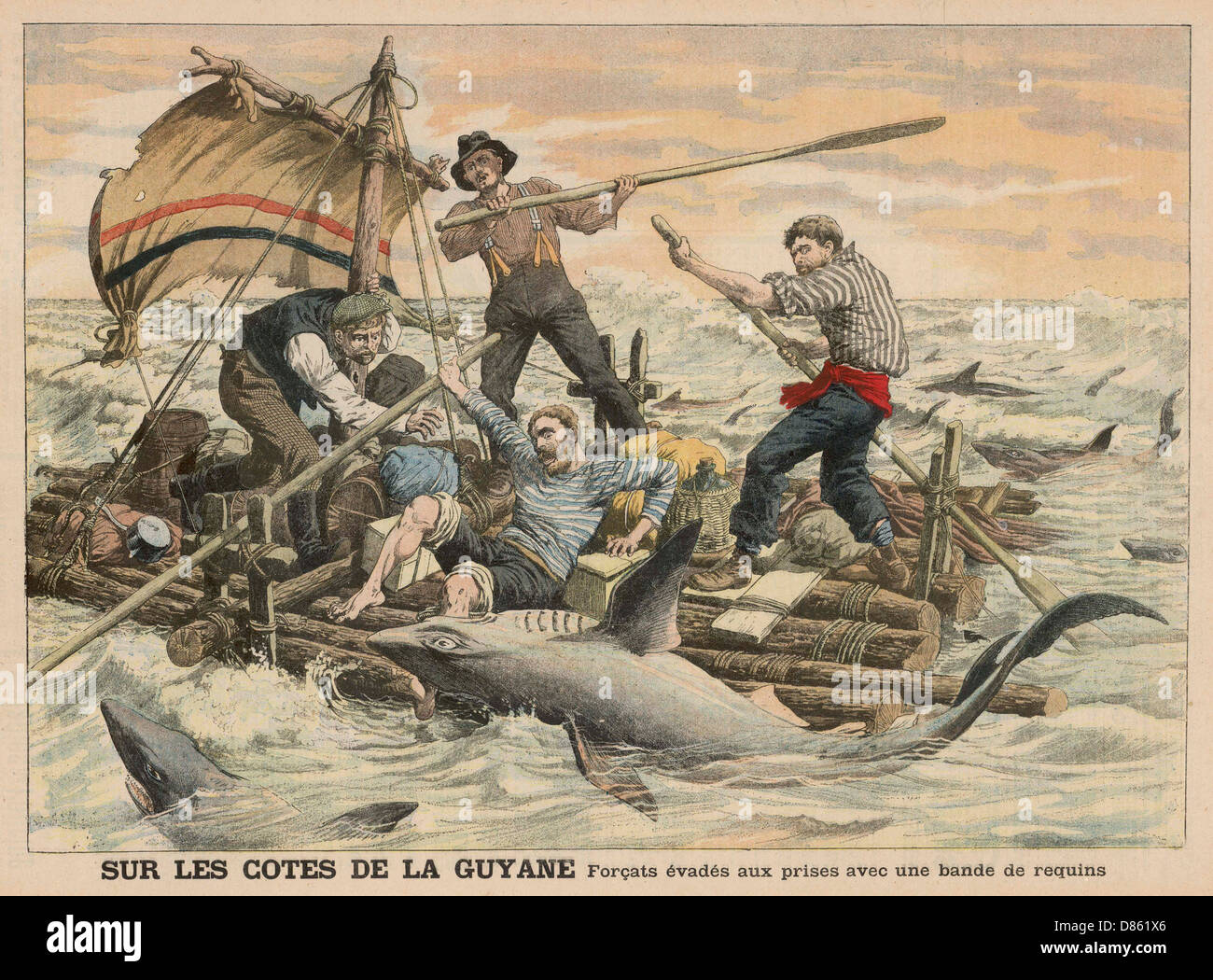Convicted robber encounters sharks off Guyana Stock Photo - Alamy