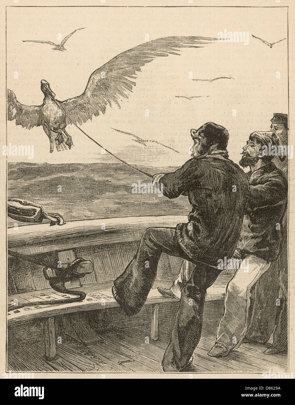 Ship albatross hi-res stock photography and images - Alamy