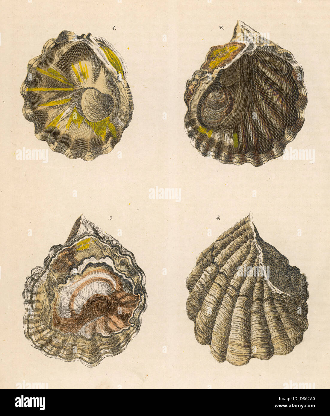 Four angles hi-res stock photography and images - Alamy