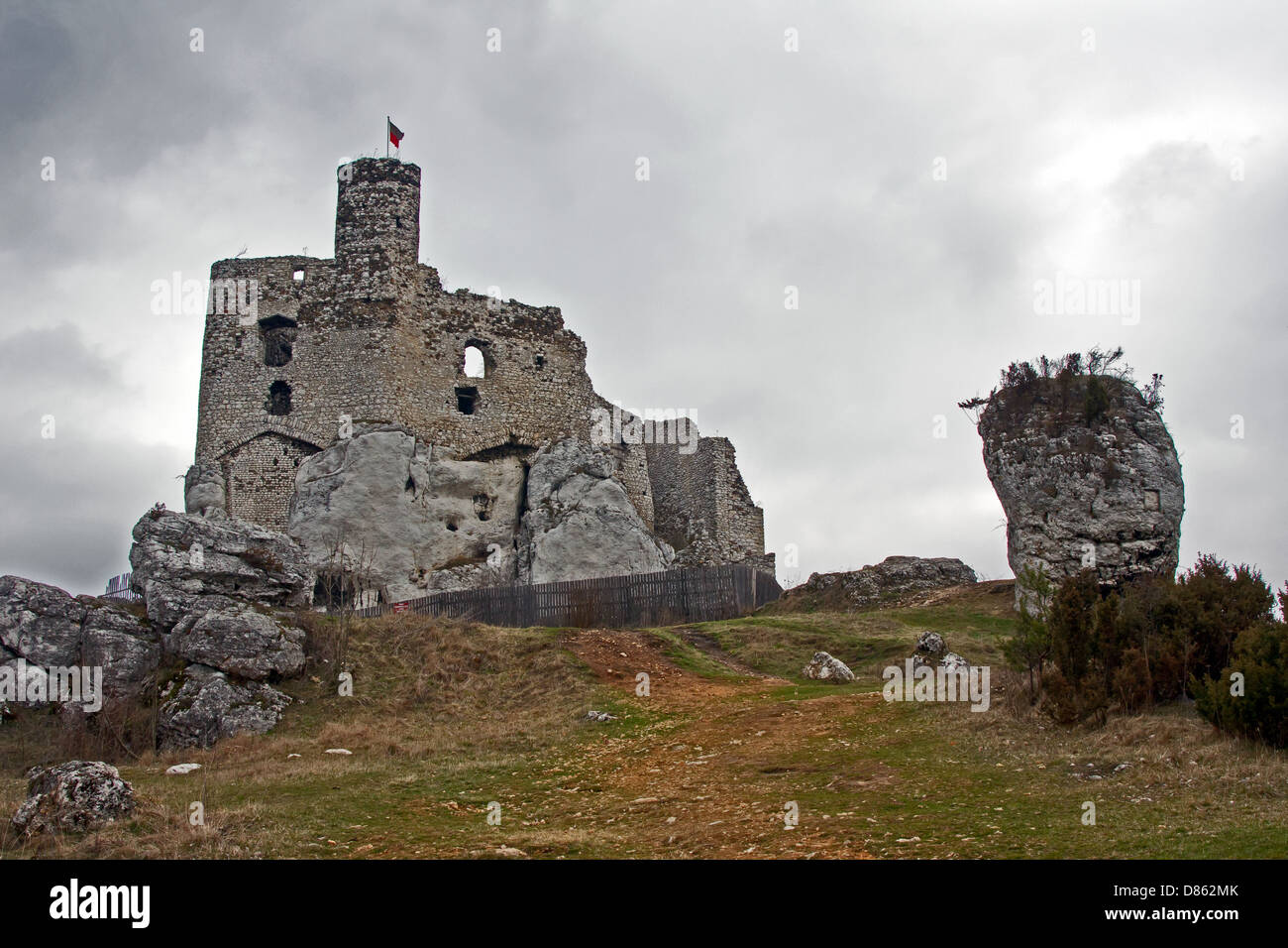 Ruined medieval castle with tower in Mirow, Poland Stock Photo - Alamy