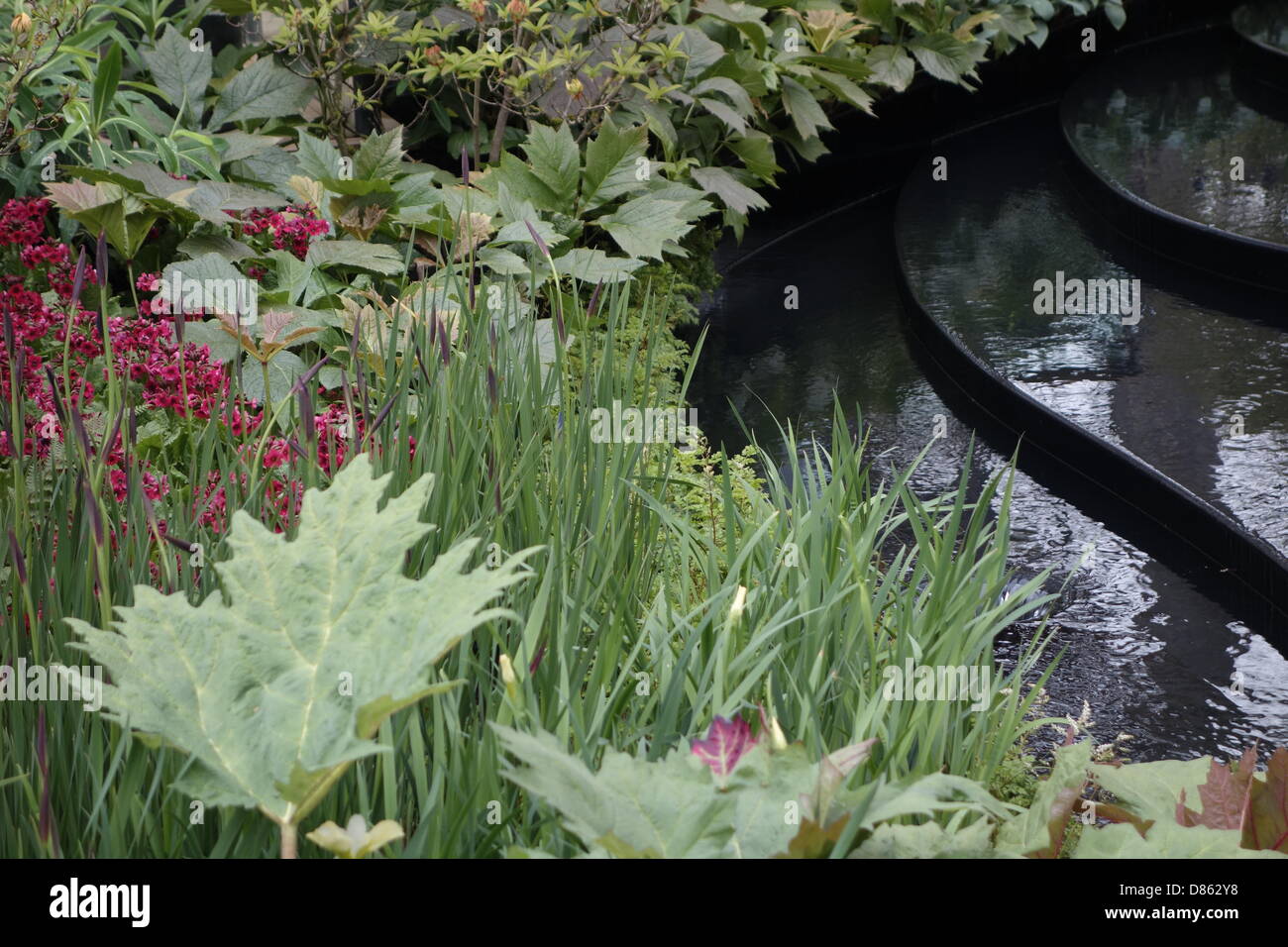 Chelsea marie hi-res stock photography and images - Alamy