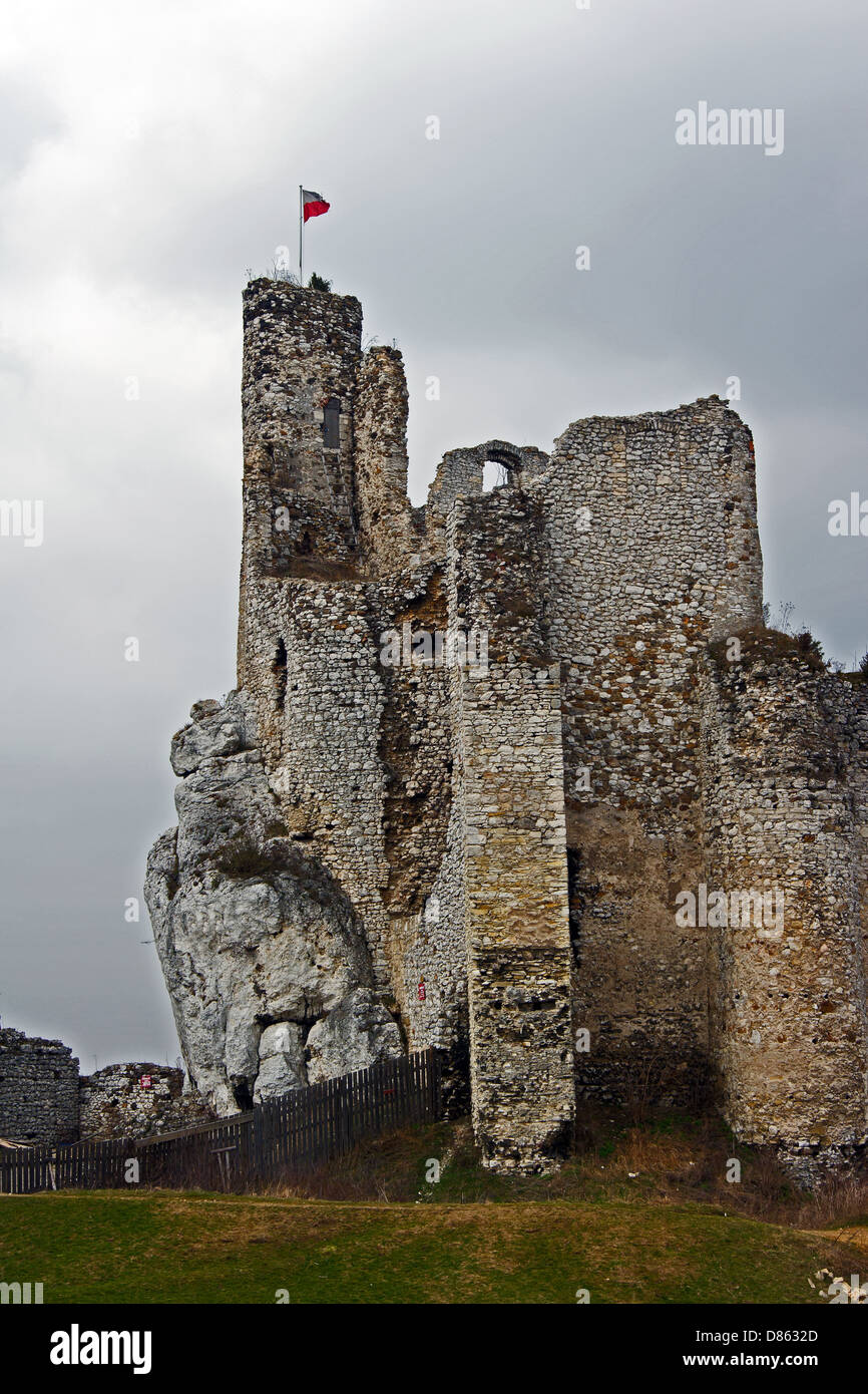 Ruined medieval castle with tower in Mirow, Poland Stock Photo - Alamy