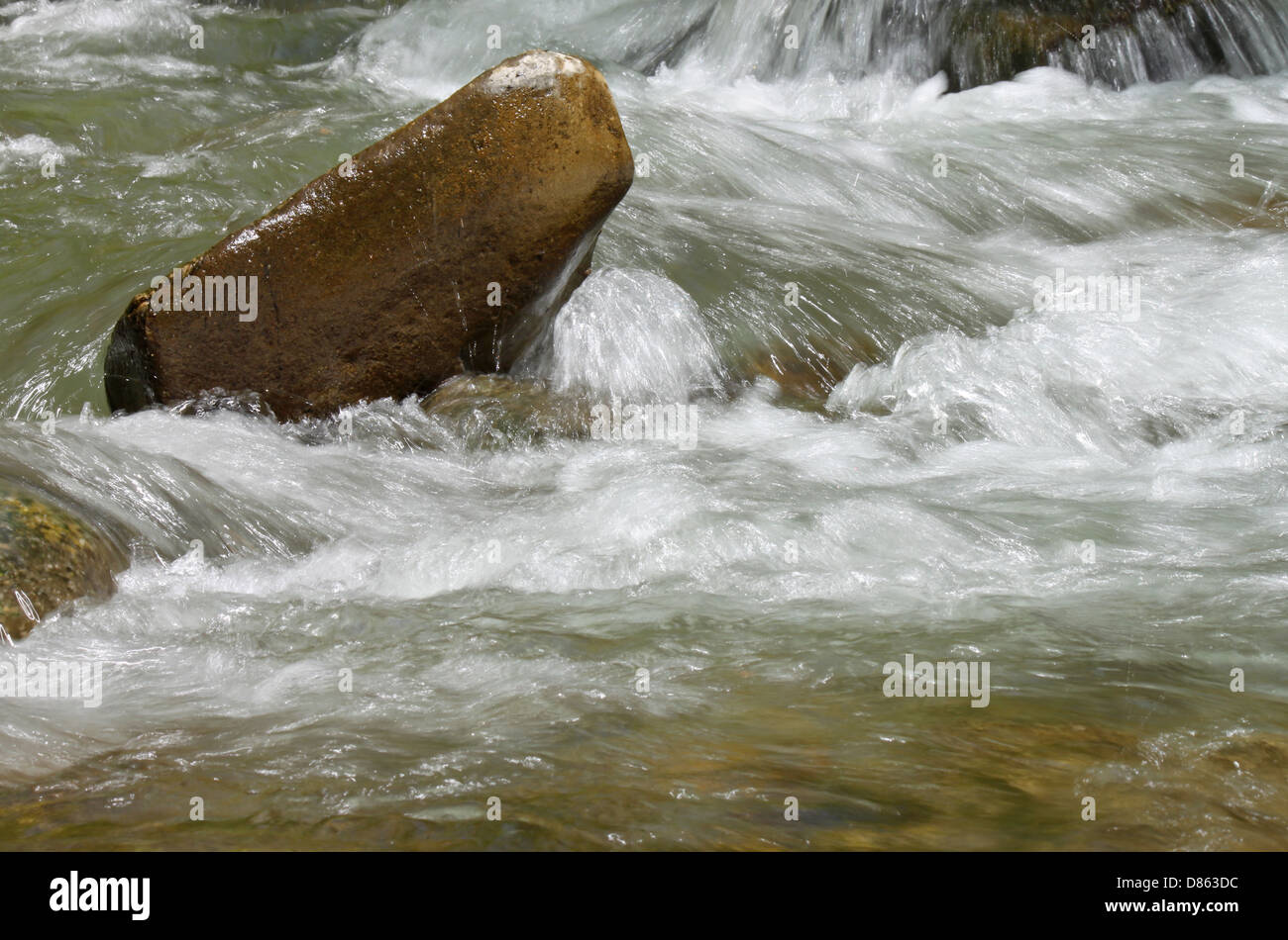rapids in small river in Carpathian mountains Stock Photo - Alamy