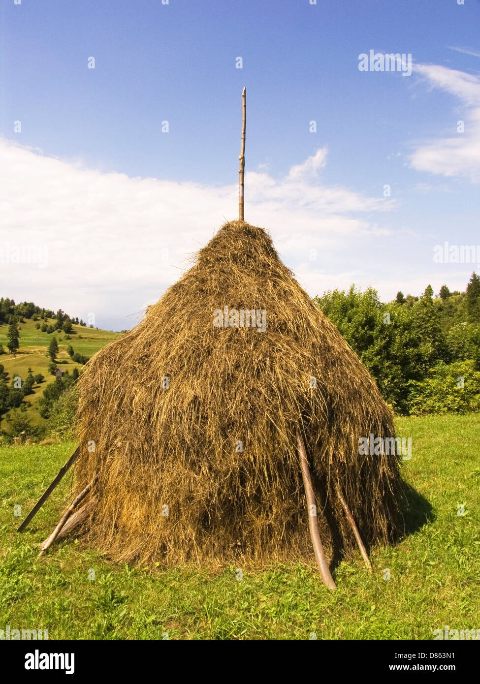 europe, romania, maramures, country in the salauta river valley Stock ...