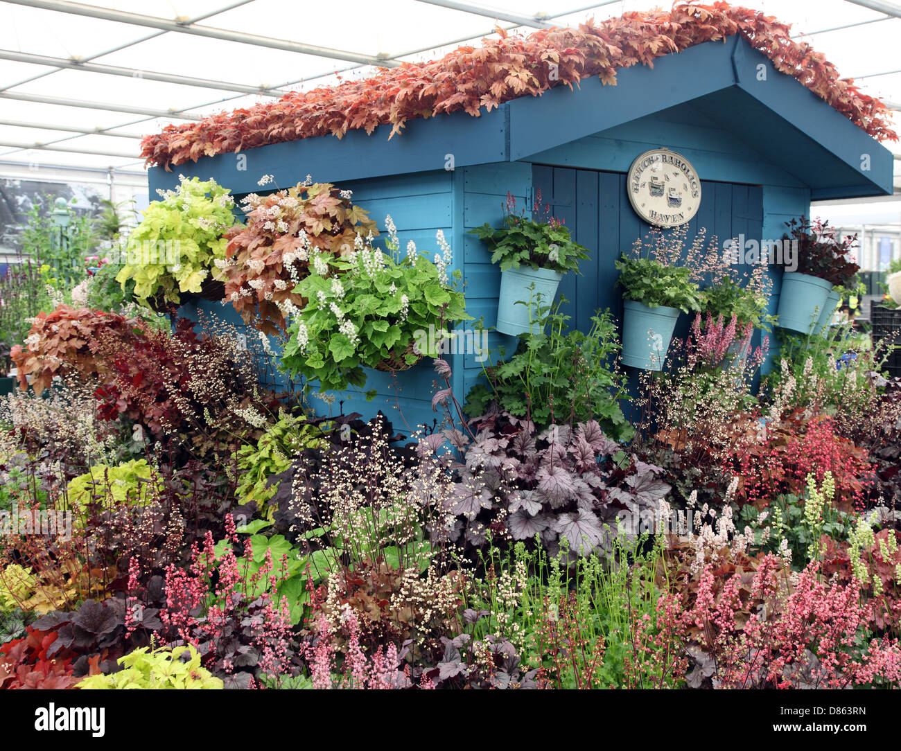 Rhs chelsea flowers hi-res stock photography and images - Alamy