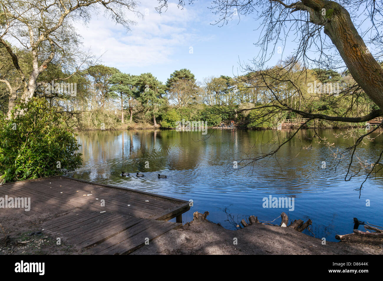 Royden Park at Frankby has a miniature railway Stock Photo - Alamy