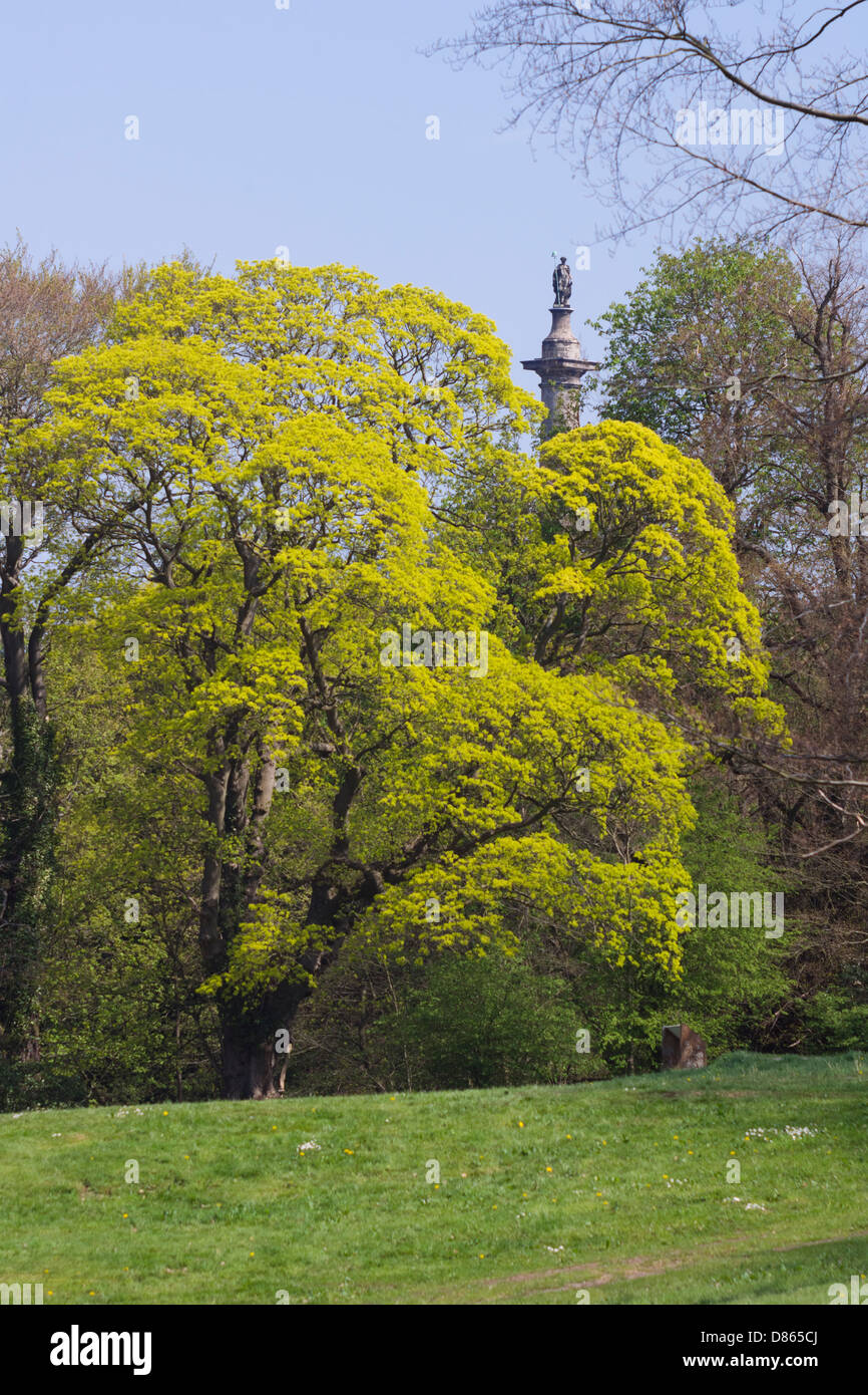 Gibside hall hi-res stock photography and images - Alamy