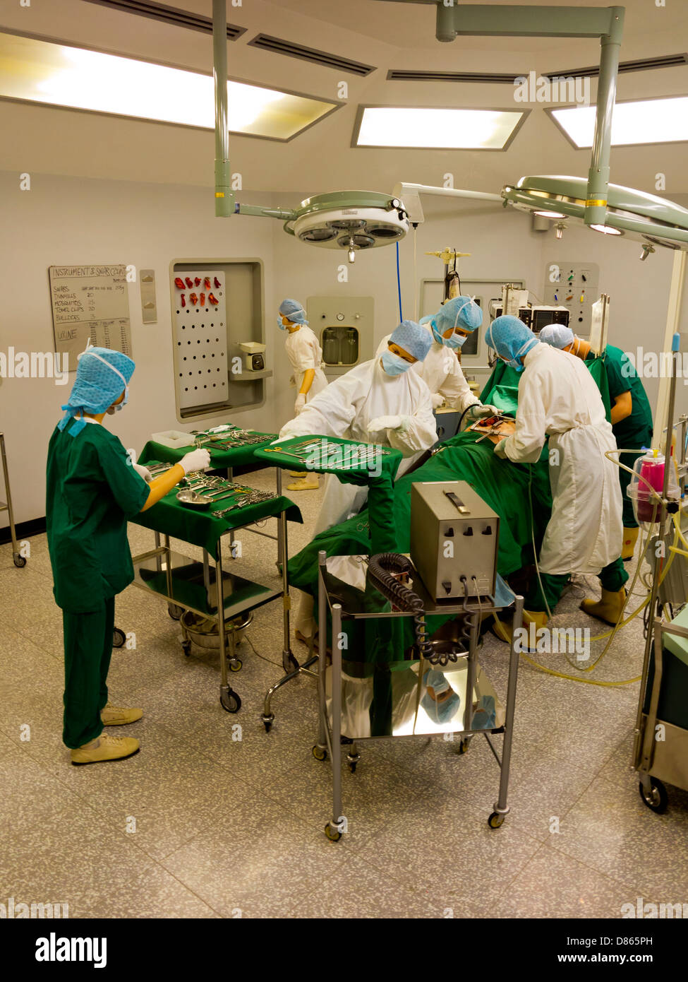 Medical museum in the uk hi-res stock photography and images - Alamy