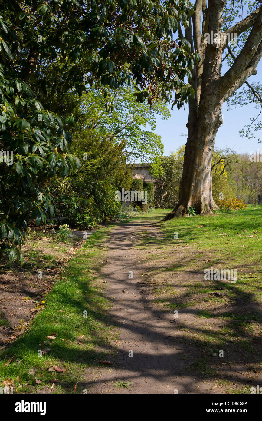A shaded path leading to the Orangery at Gibside Hall Estate ...