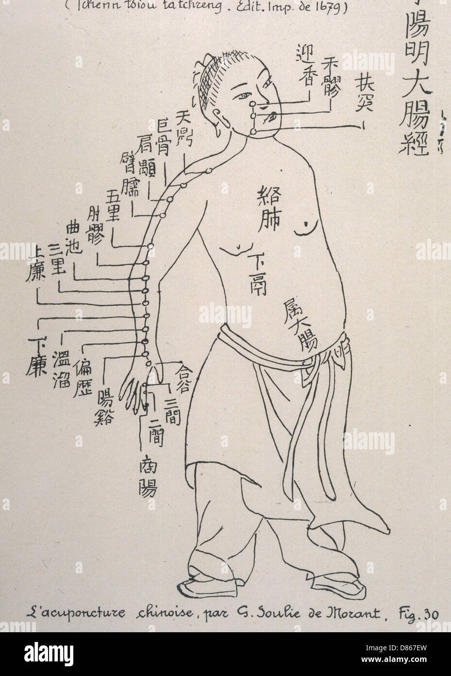 Acupuncture -- the Large Intestine Stock Photo - Alamy