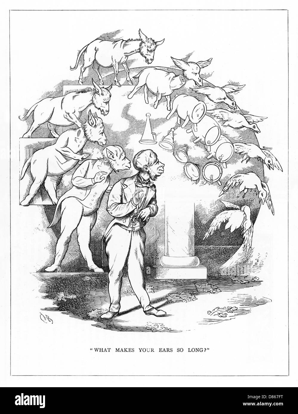 Origin Species, CH Bennett, Fool - donkey Stock Photo - Alamy