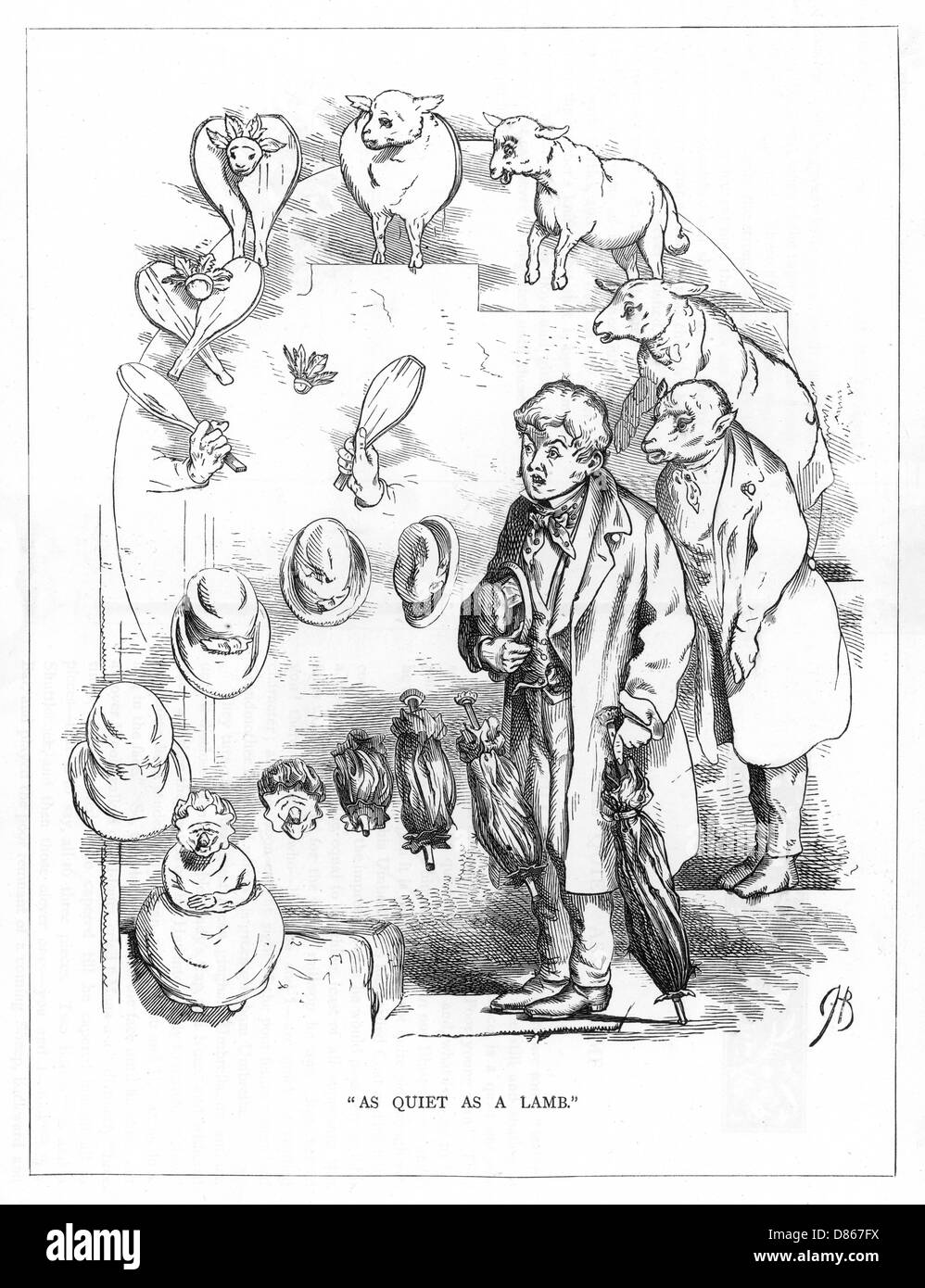 Origin Species, CH Bennett, Quiet man - lamb Stock Photo - Alamy