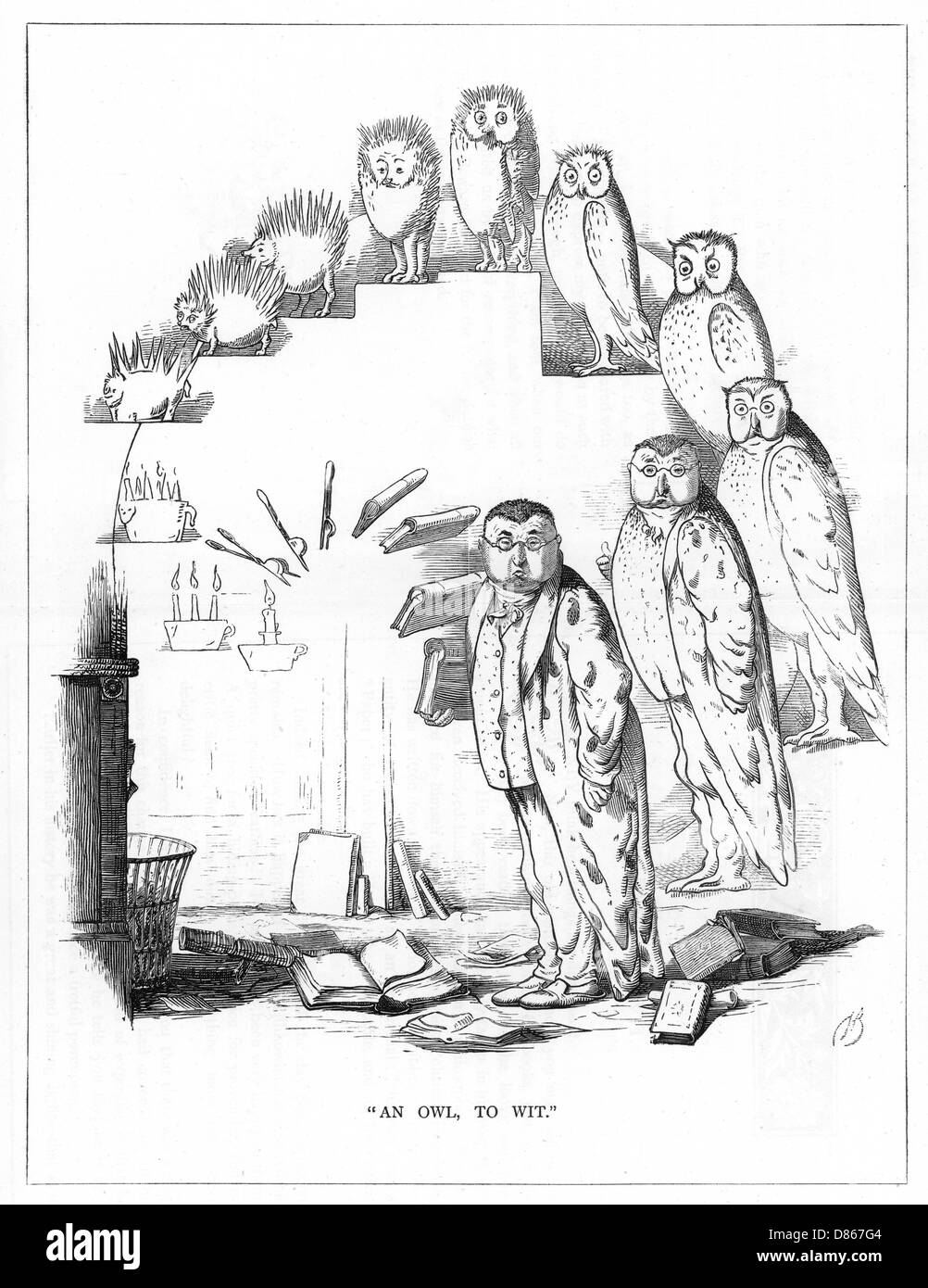 Species of shrub or tree Cut Out Stock Images & Pictures - Alamy