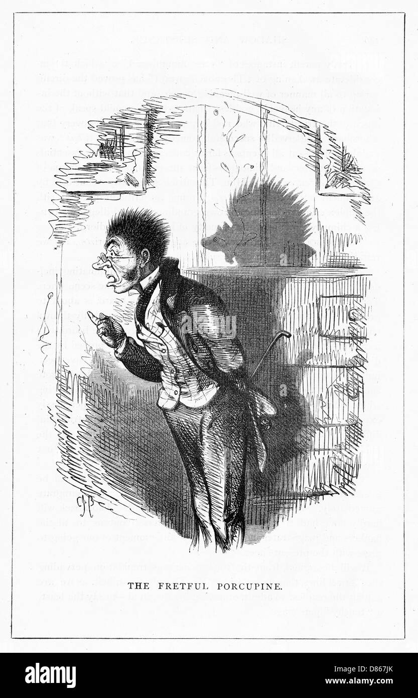 Illustration porcupine Black and White Stock Photos & Images - Alamy