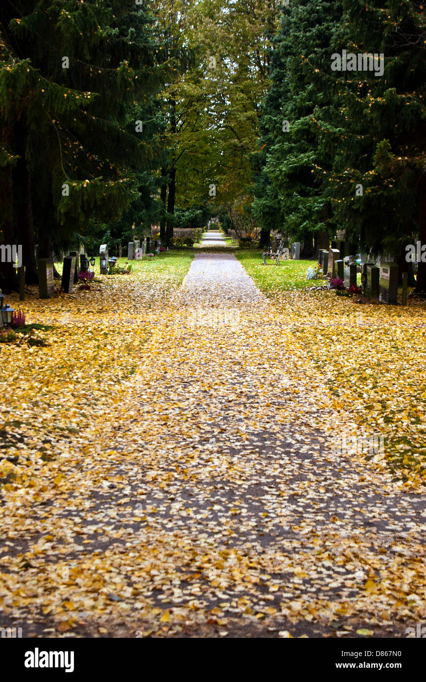 Helsinki malmi hi-res stock photography and images - Alamy
