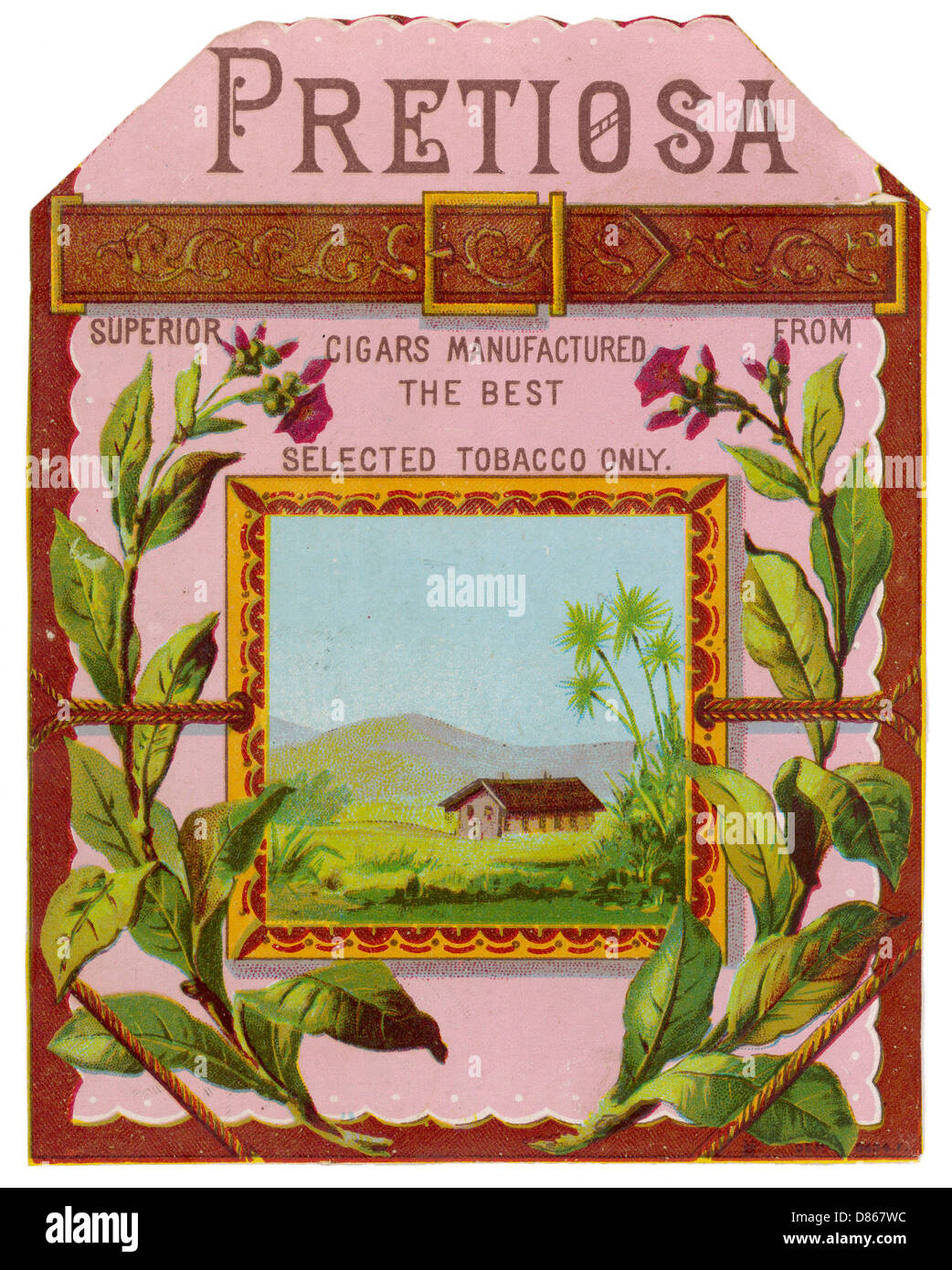 Label tobacco hi-res stock photography and images - Alamy