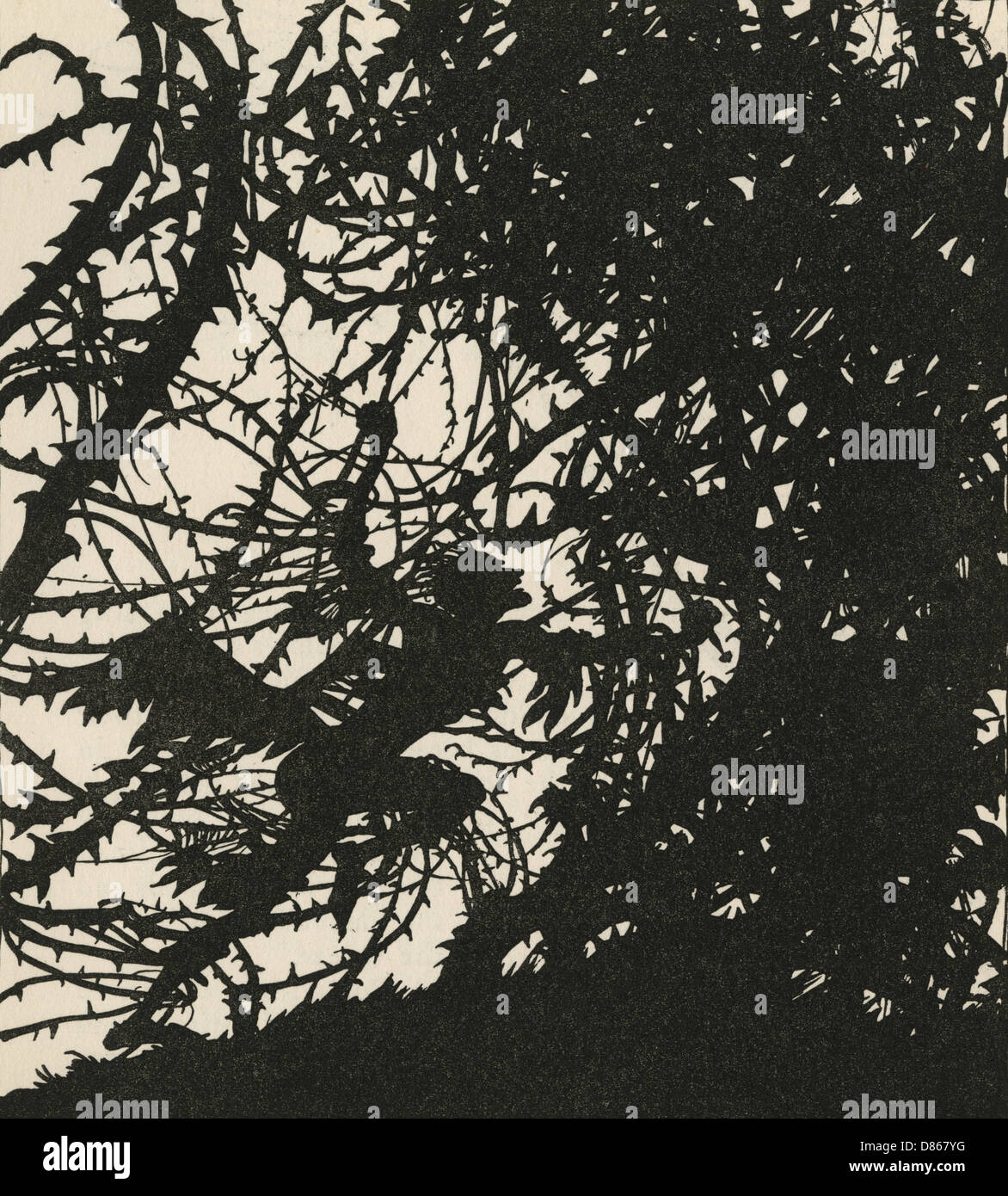 Arthur rackham hi-res stock photography and images - Alamy